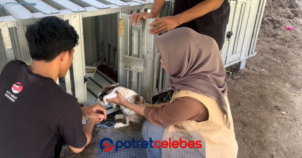 Mahasiswa POMN UWN Palu Sukses Kembangkan Edu-Ekowisata di Desa Oloboju ...